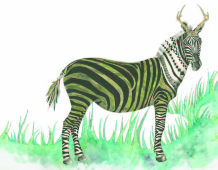 Camo Zebra | Rainbow Zebra Graphics